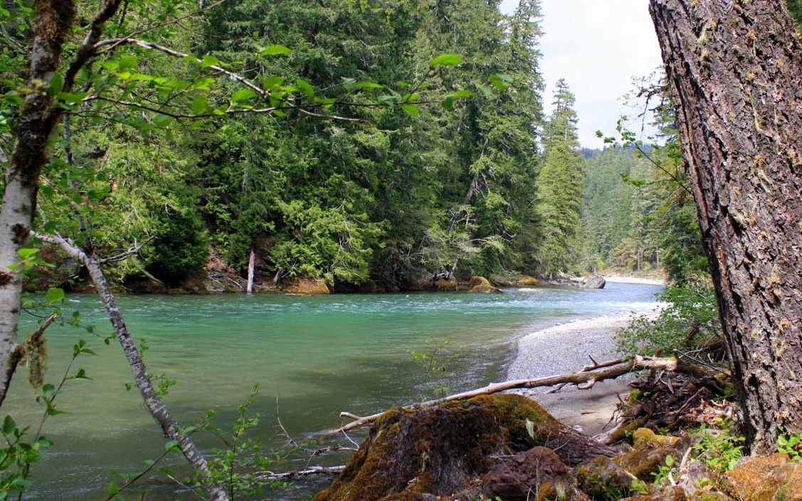 Cowlitz River - White Pass Scenic Byway