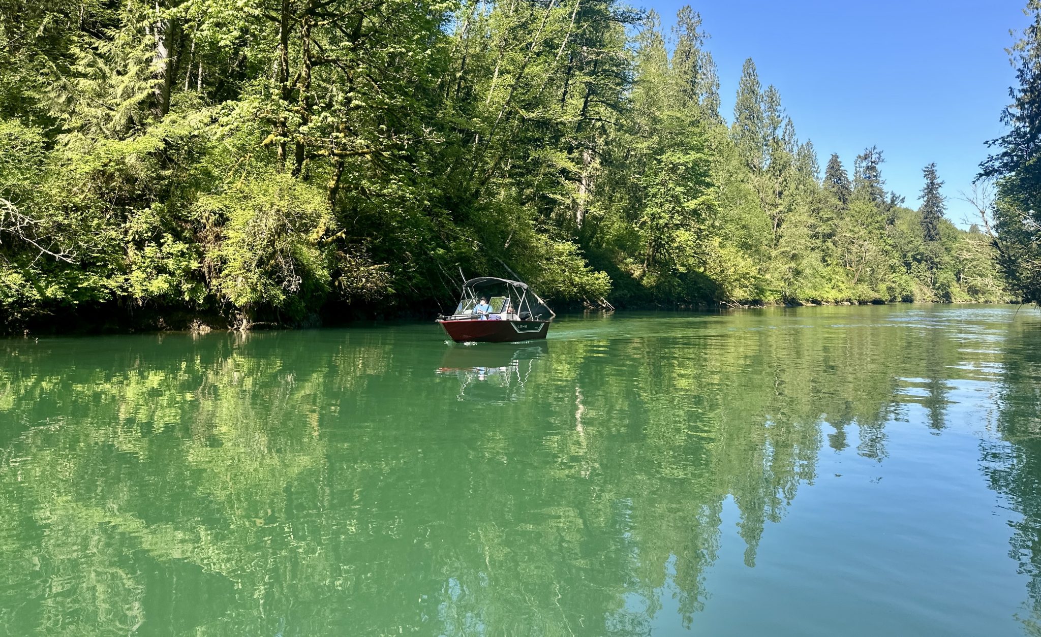 Mayfield Lake and Dam - White Pass Scenic Byway