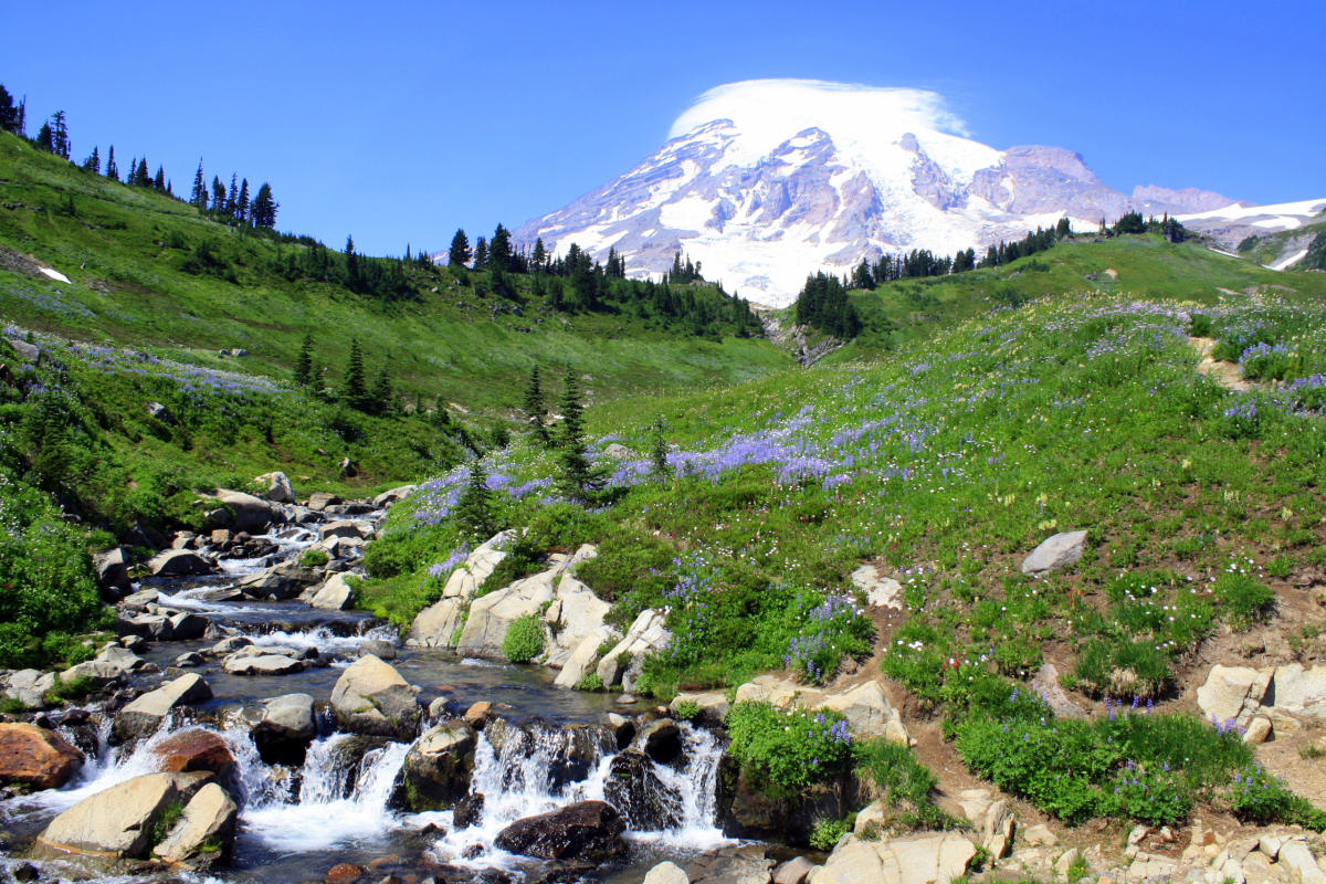 Many Mount Rainier National Park visitors will need reservations in ...