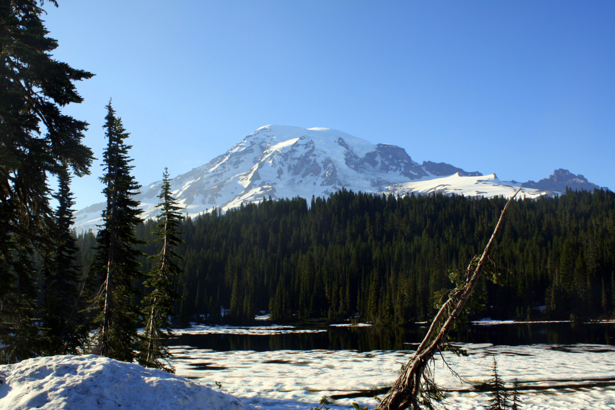 Timed entry reservation period begins at Mt. Rainier National Park ...